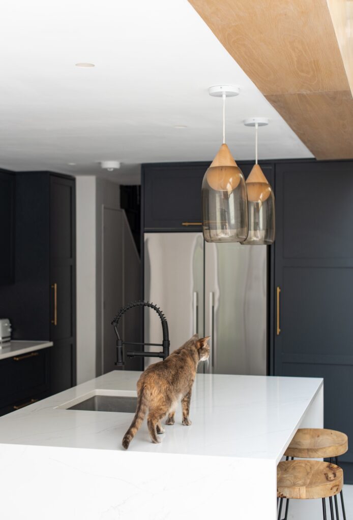 Amott House - Dobuild